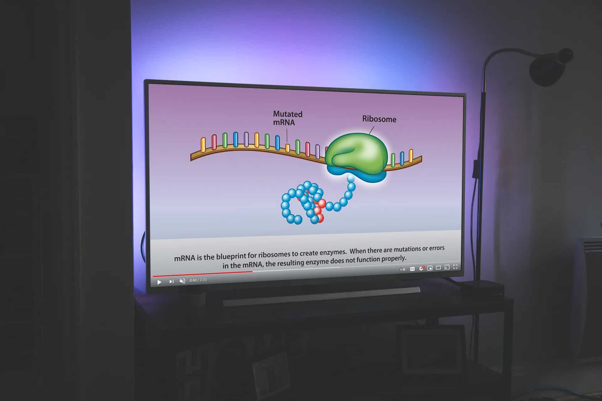 Scientific Animation and Video - JUG Team